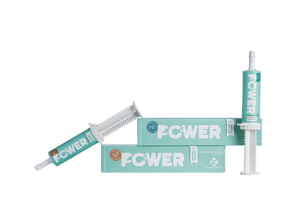 European Pet Pharmacy - POWER - Energiepaste Huhn/Lachs - PFOTENHOCH4.CH